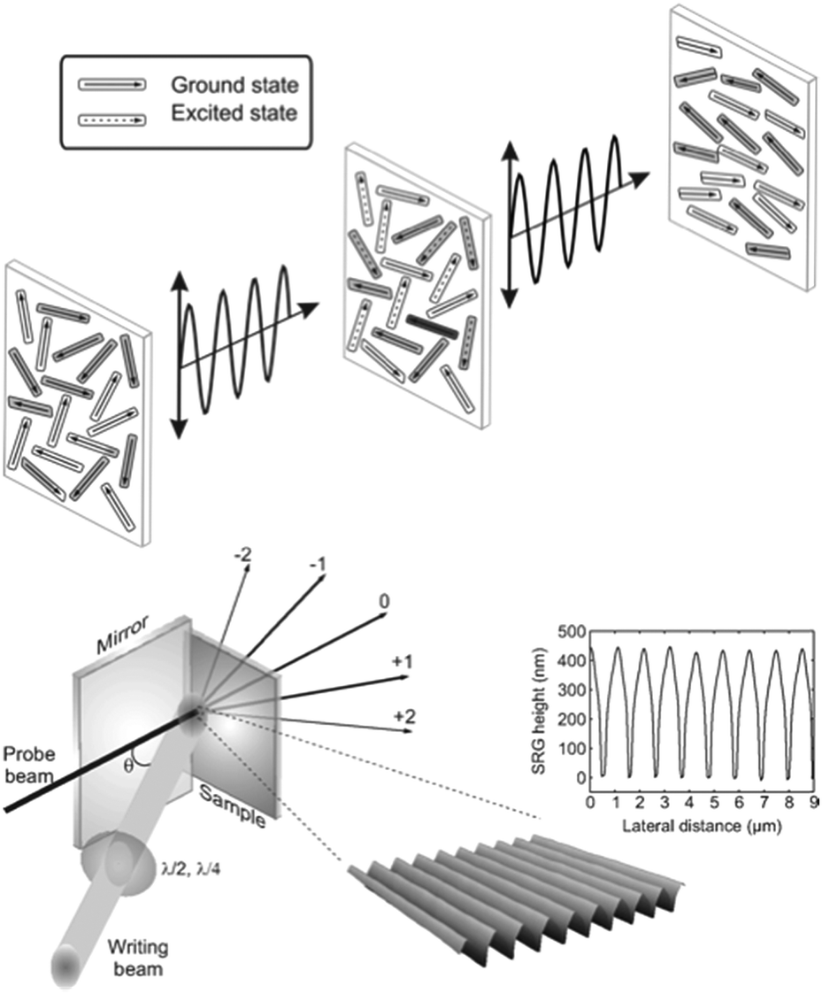 Supramolecular design principles for efficient photoresponsive polymer–azobenzene complexes ...