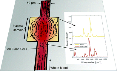 In-line whole blood fractionation for Raman analysis of blood plasma ...