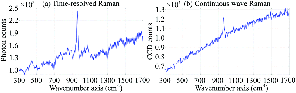 Chemical imaging of human teeth by a time-resolved Raman spectrometer ...