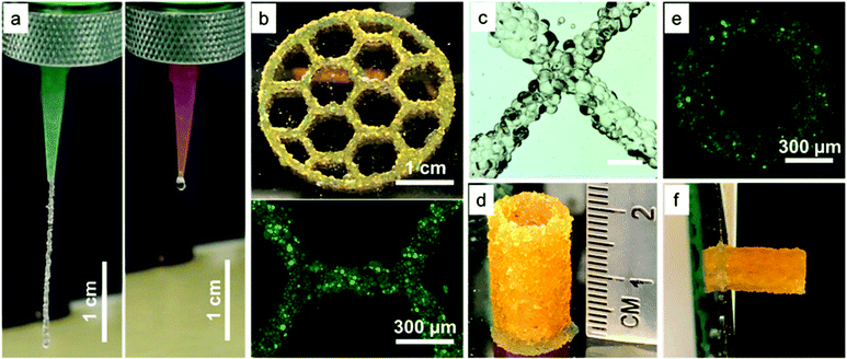 Clickable PEG hydrogel microspheres as building blocks for 3D ...