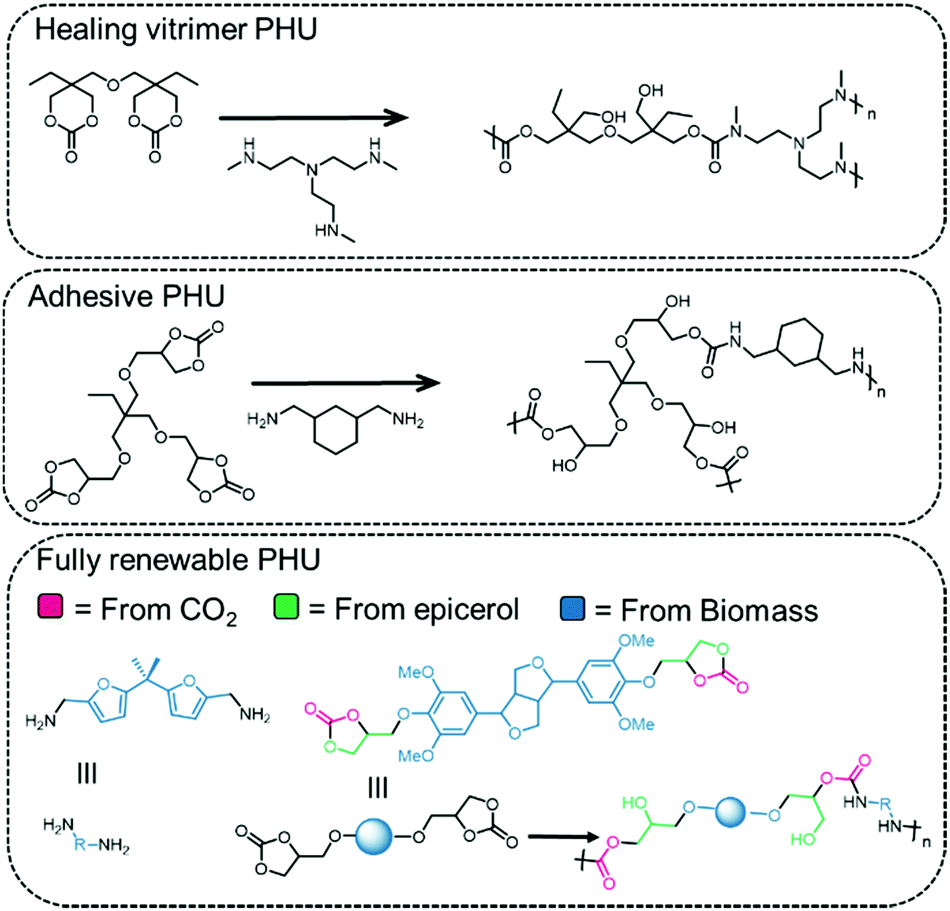 En route to CO 2 -containing renewable materials: catalytic synthesis ...