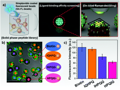 Two-dimensional SERS encoding method for on-bead peptide sequencing in ...