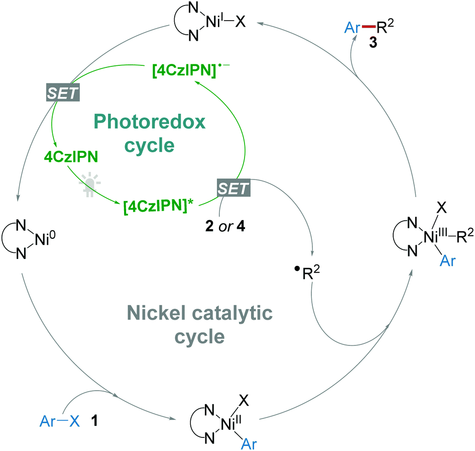 Recent advances of 1,2,3,5-tetrakis(carbazol-9-yl)-4,6-dicyanobenzene ...