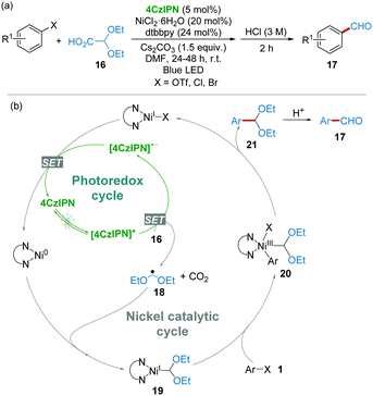 Recent advances of 1,2,3,5-tetrakis(carbazol-9-yl)-4,6-dicyanobenzene ...