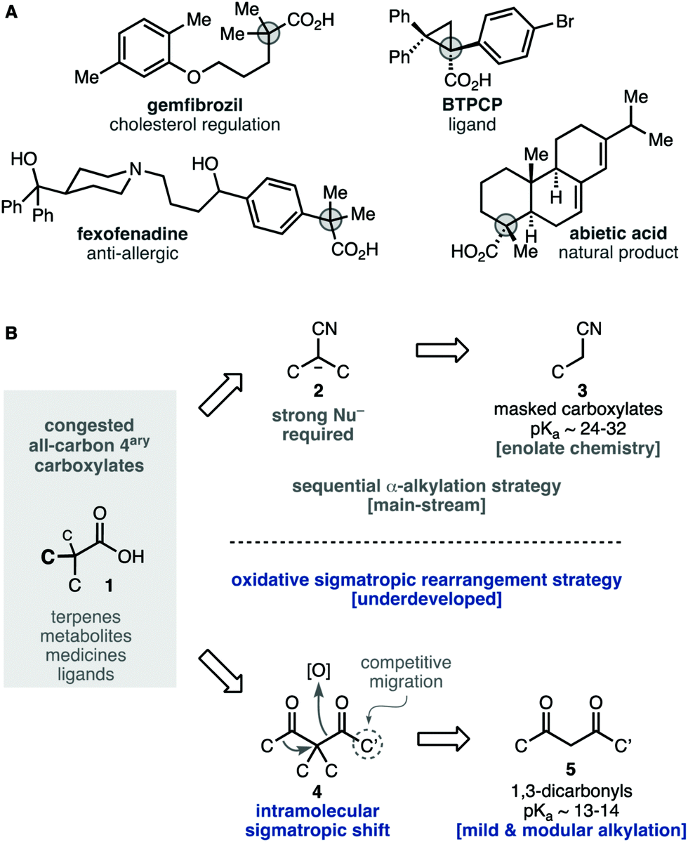 Mechanism and regioselectivity of the anionic oxidative rearrangement ...