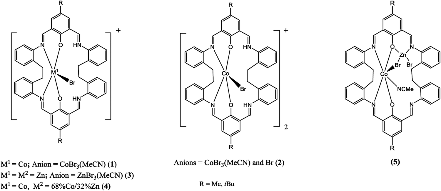 Turning on ROP activity in a bimetallic Co/Zn complex supported by a [2 ...