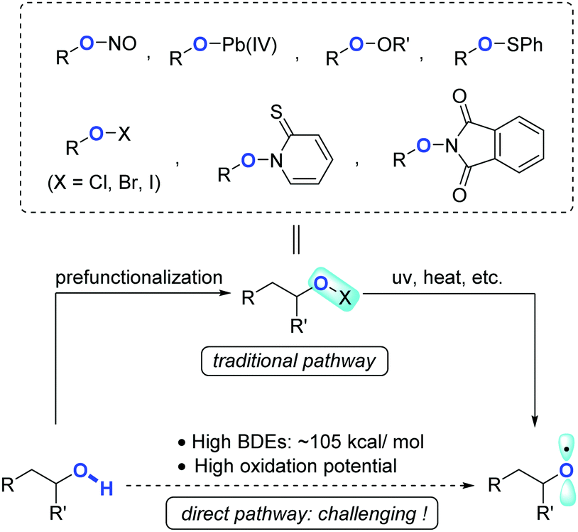 Recent advances in alkoxy radical-promoted C–C and C–H bond ...