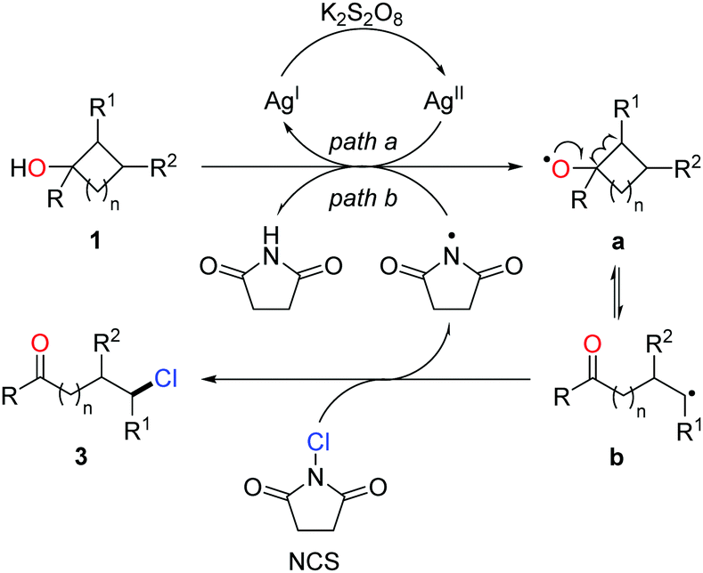 Recent advances in alkoxy radical-promoted C–C and C–H bond ...
