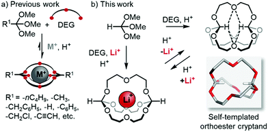 Self-templated synthesis of an orthoformate in , in -cryptand and its ...