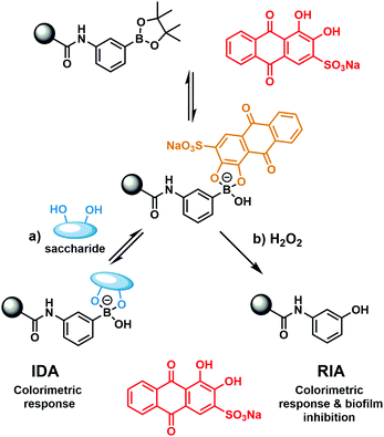 Reaction-based indicator displacement assay (RIA) for the development ...