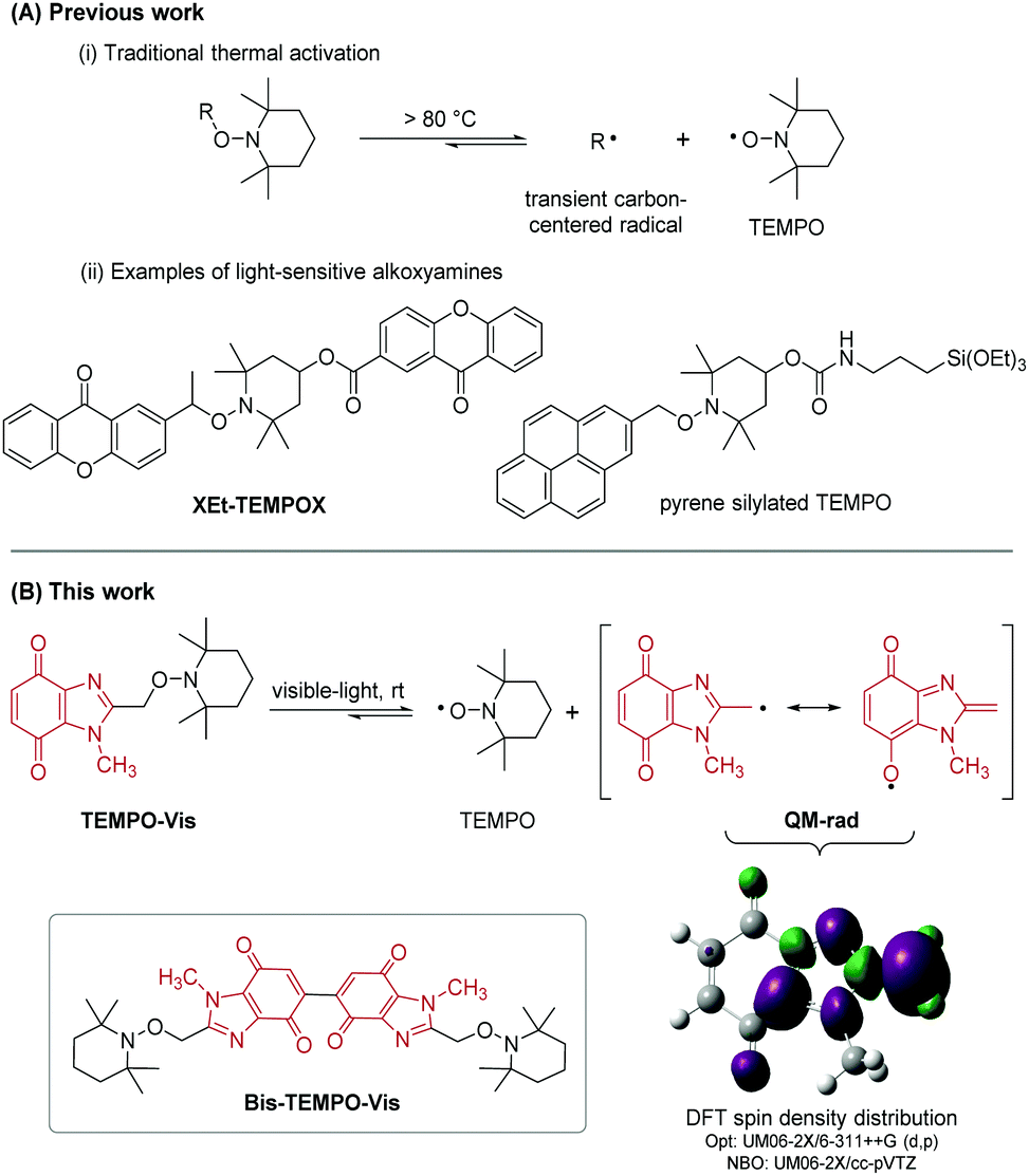 Visible-light unmasking of heterocyclic quinone methide radicals from ...