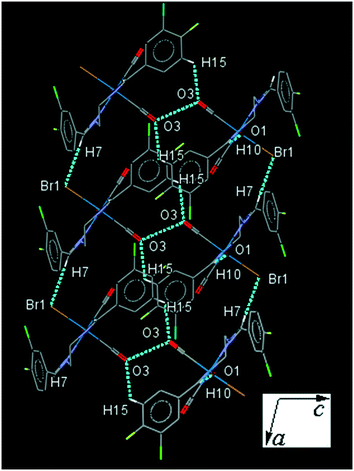 New rhenium-tricarbonyl complexes bearing halogen-substituted bidentate ...