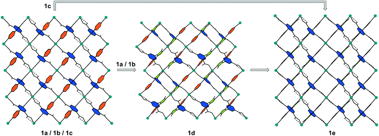 Desolvation process in the flexible metal–organic framework [Cu(Me-4py ...