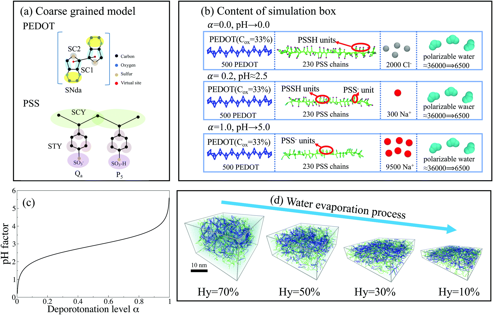 Computational microscopy study of the granular structure and pH ...