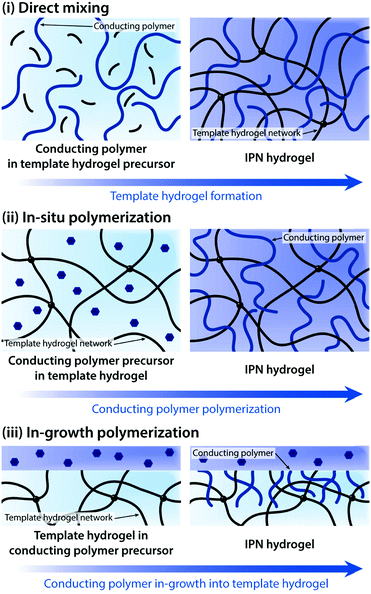 Hydrogel bioelectronics - Chemical Society Reviews (RSC Publishing) DOI ...