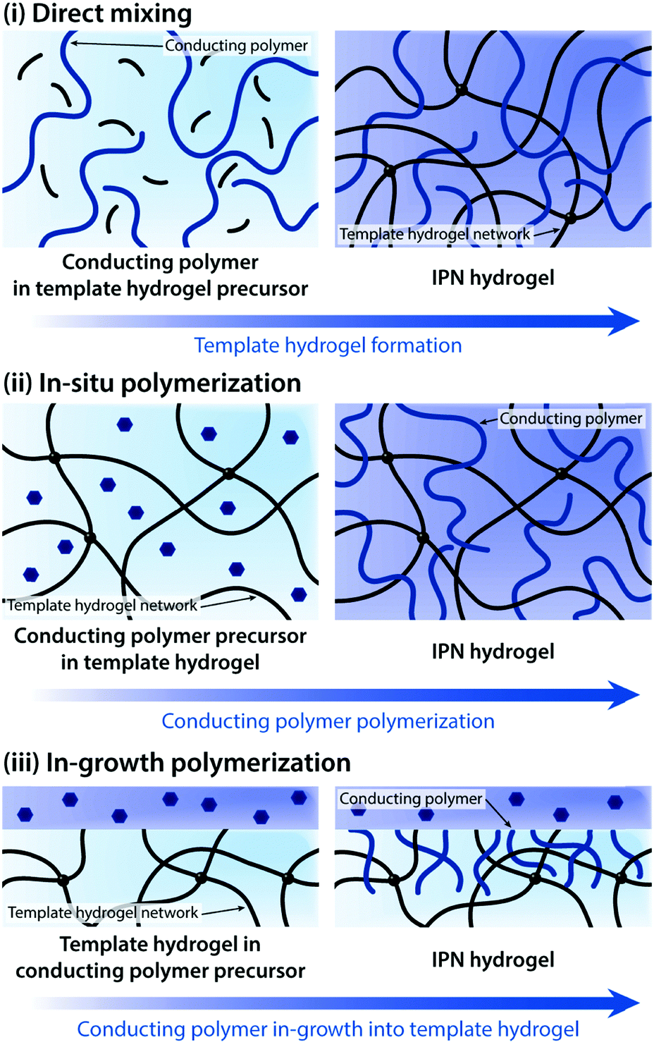 Hydrogel bioelectronics - Chemical Society Reviews (RSC Publishing) DOI ...