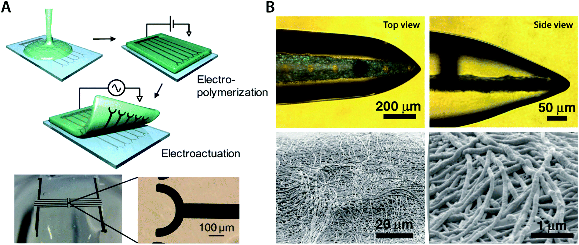 Hydrogel bioelectronics - Chemical Society Reviews (RSC Publishing) DOI ...