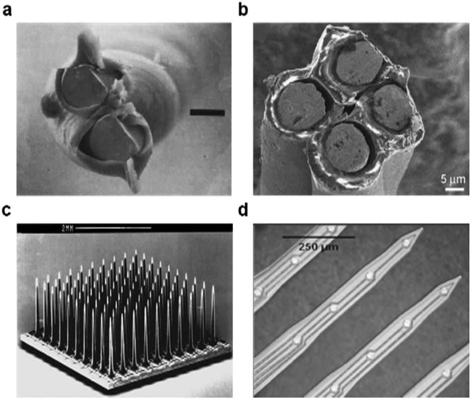 Flexible fiber-based optoelectronics for neural interfaces - Chemical ...