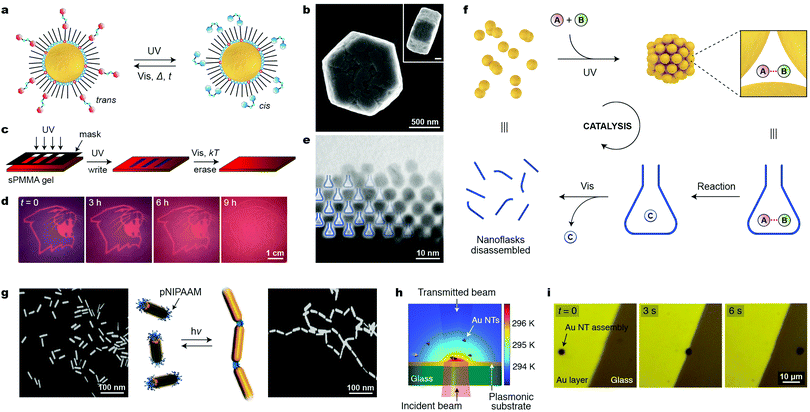 Stimuli-responsive self-assembly of nanoparticles - Chemical Society ...