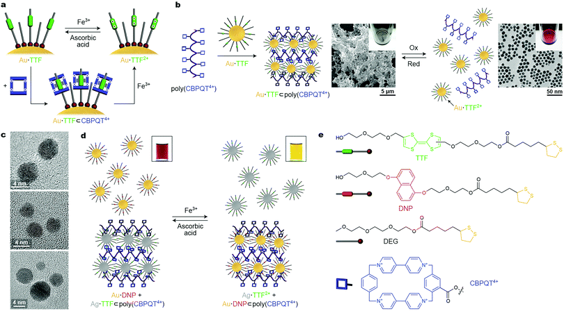 Stimuli-responsive self-assembly of nanoparticles - Chemical Society ...