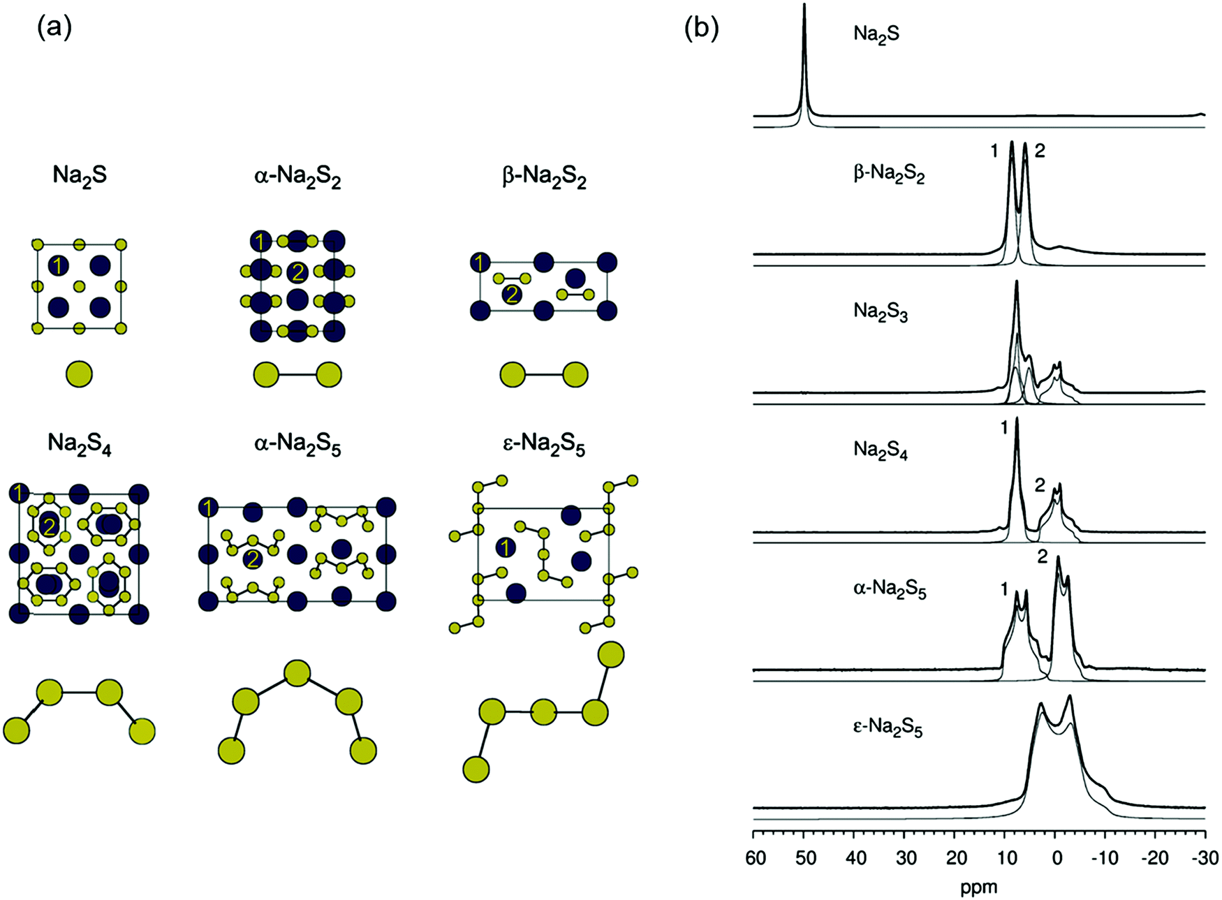 The role of polysulfide dianions and radical anions in the chemical ...
