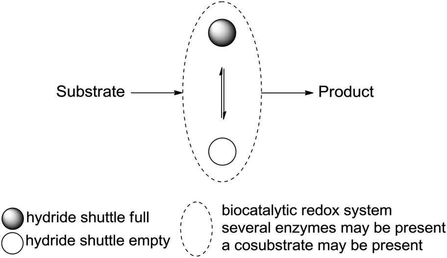 Enzymatic self-sufficient hydride transfer processes - Chemical Society ...