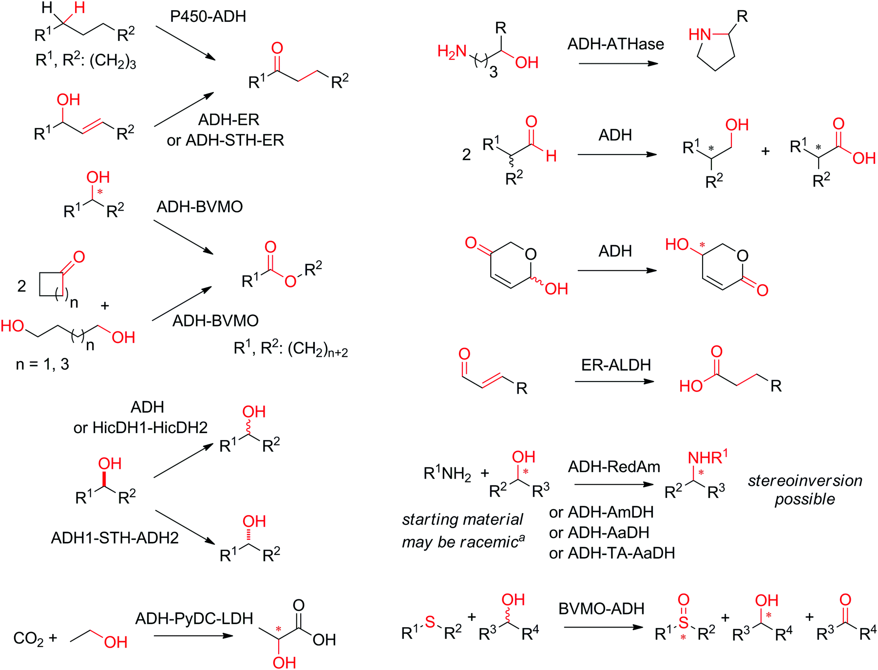 Enzymatic self-sufficient hydride transfer processes - Chemical Society ...