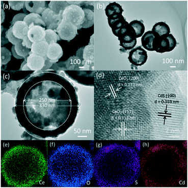Ultrathin CdS shell-sensitized hollow S-doped CeO 2 spheres for ...