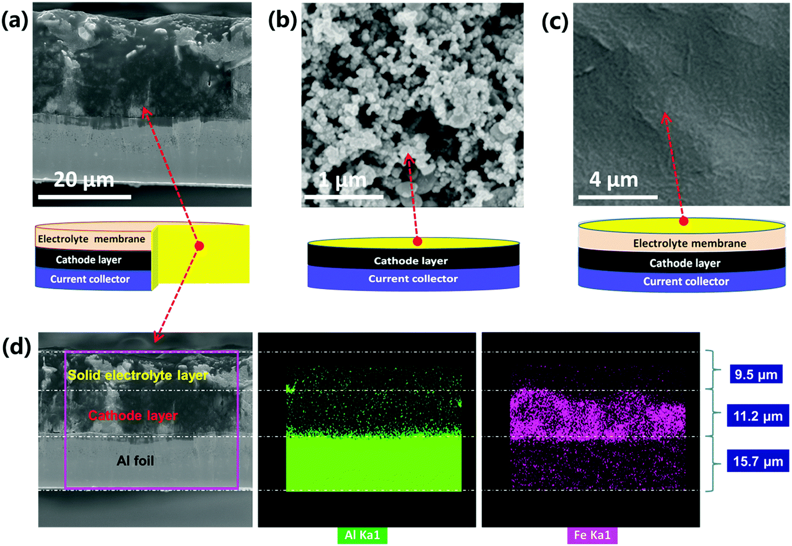 Enhancing interfacial contact in all solid state batteries with a ...