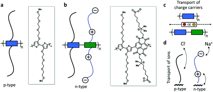 Design and evaluation of conjugated polymers with polar side chains as ...