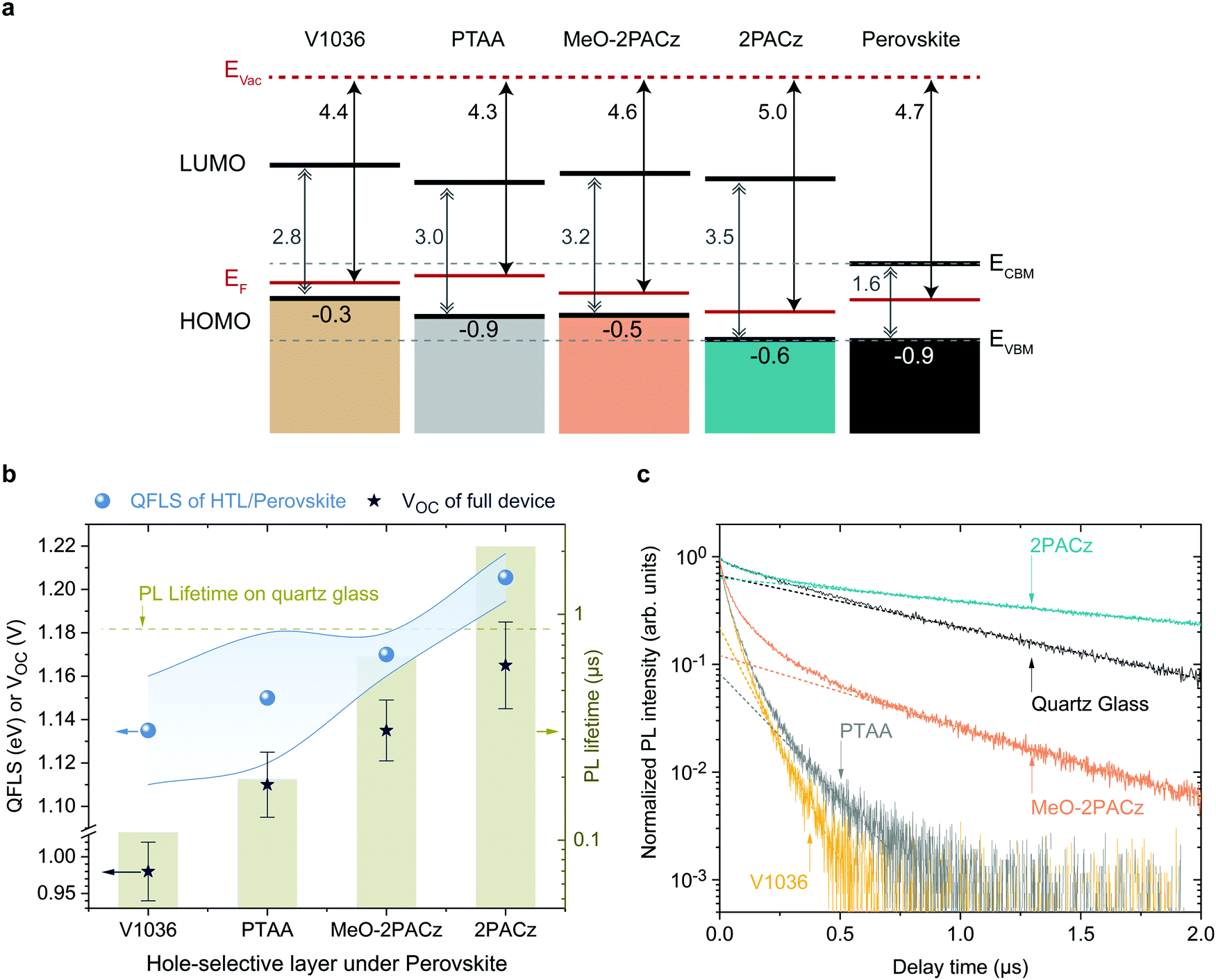 Conformal monolayer contacts with lossless interfaces for perovskite ...