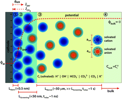 Modeling the electrical double layer to understand the reaction ...