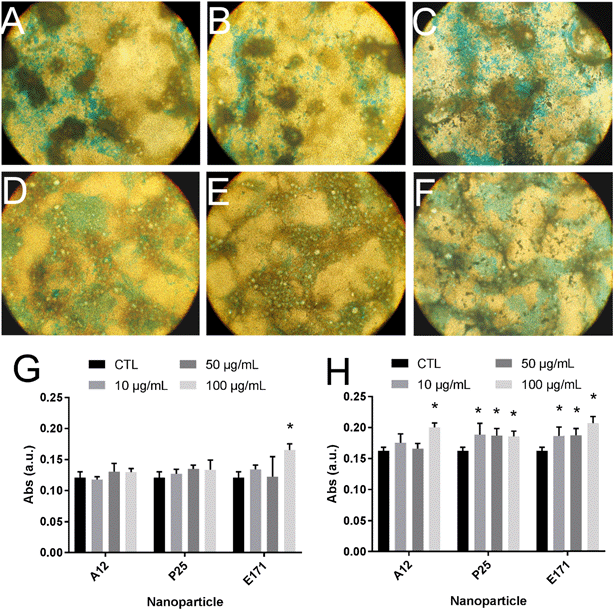 The food additive E171 and titanium dioxide nanoparticles indirectly ...