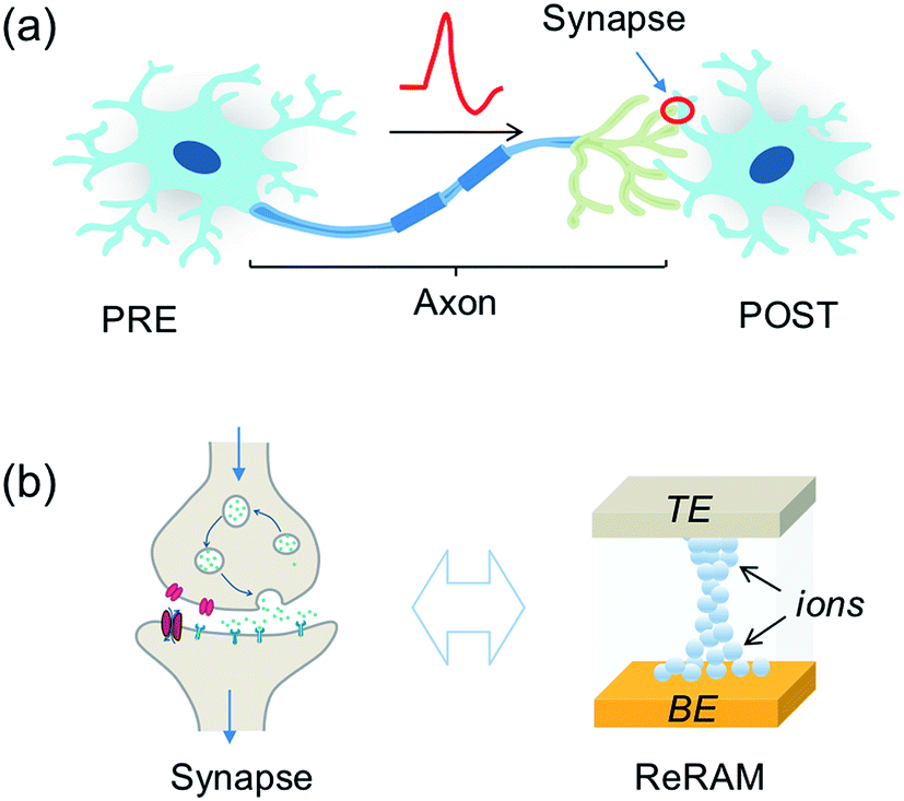 Computing of temporal information in spiking neural networks with ReRAM ...