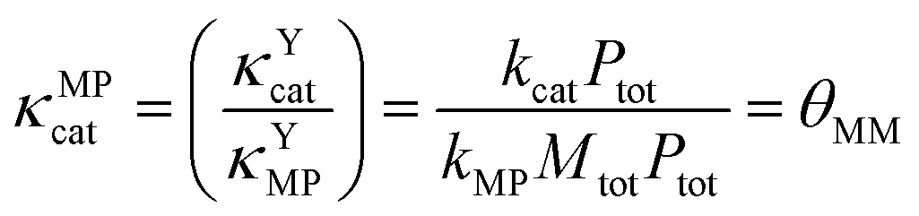 A kinetic model for redox-active film based biophotoelectrodes ...