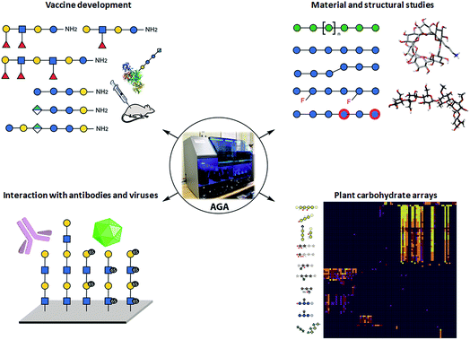 Multivalent glycan arrays - Faraday Discussions (RSC Publishing) DOI:10 ...