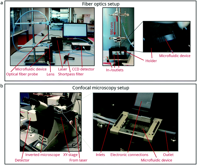 Luminescence thermometry for in situ temperature measurements in ...