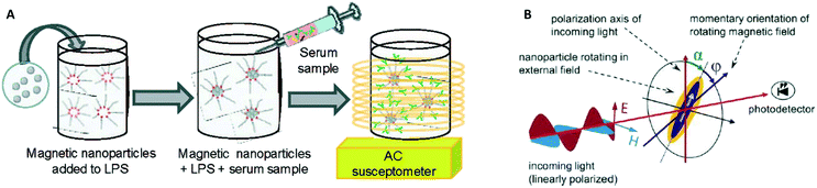 Rotating magnetic particles for lab-on-chip applications – a ...