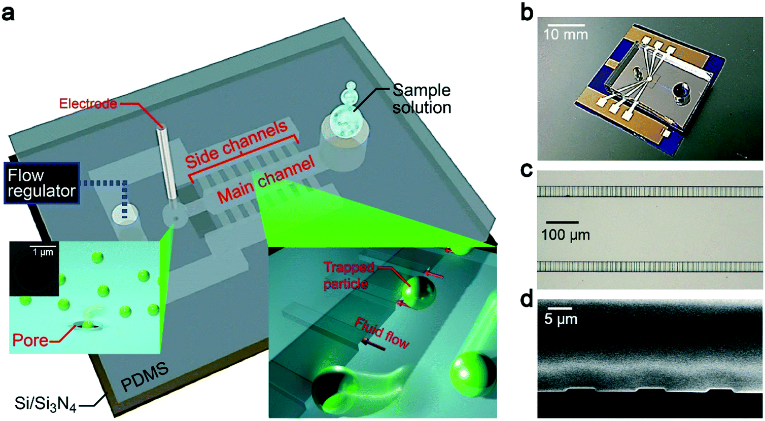 High-throughput single-particle detections using a dual-height-channel ...