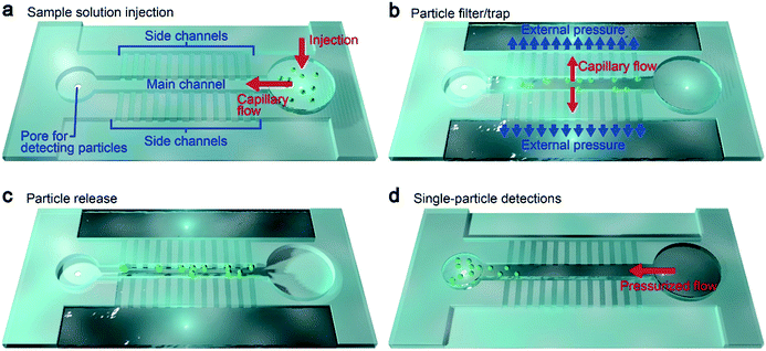 High-throughput single-particle detections using a dual-height-channel ...