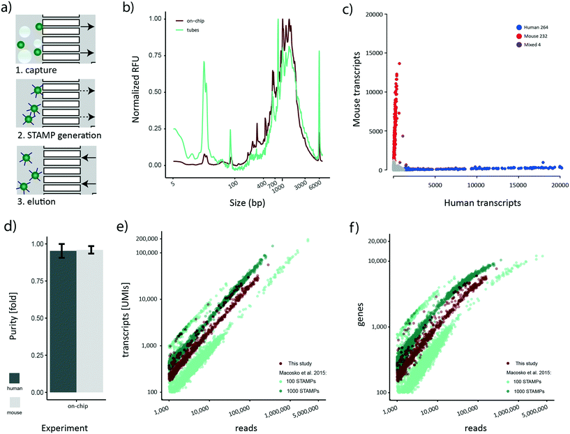 Simplified Drop-seq workflow with minimized bead loss using a bead ...