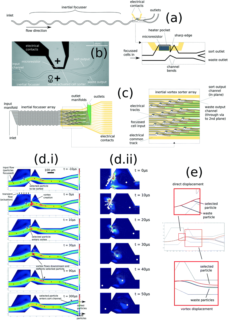Cell sorting actuated by a microfluidic inertial vortex - Lab on a Chip (RSC Publishing) DOI:10. ...