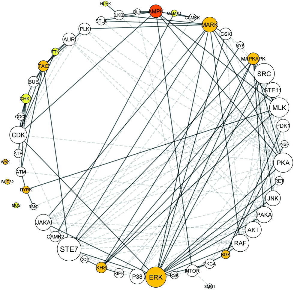 Kinase network dysregulation in a human induced pluripotent stem cell ...