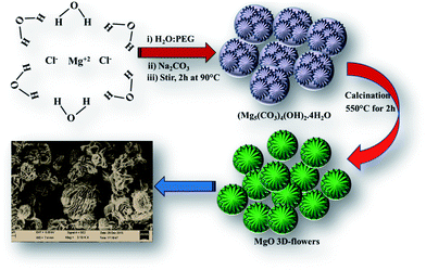 High surface area 3D-MgO flowers as the modifier for the working ...