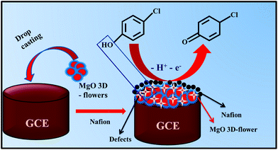 High surface area 3D-MgO flowers as the modifier for the working ...