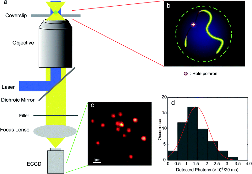 π-Conjugated nanostructured materials: preparation, properties and ...