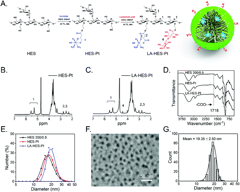 Colloidal hydroxyethyl starch for tumor-targeted platinum delivery ...