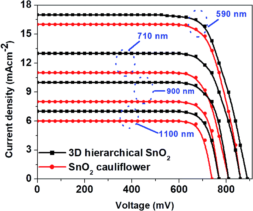 Novel 3D hierarchically structured cauliflower-shaped SnO 2 nanospheres as effective ...