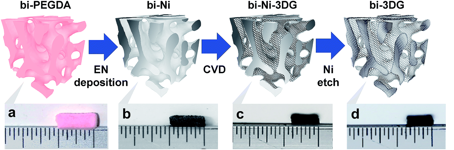 Scalable synthesis of gyroid-inspired freestanding three-dimensional graphene architectures ...