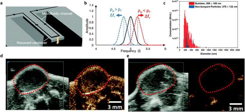 Sink or float? Characterization of shell-stabilized bulk nanobubbles ...